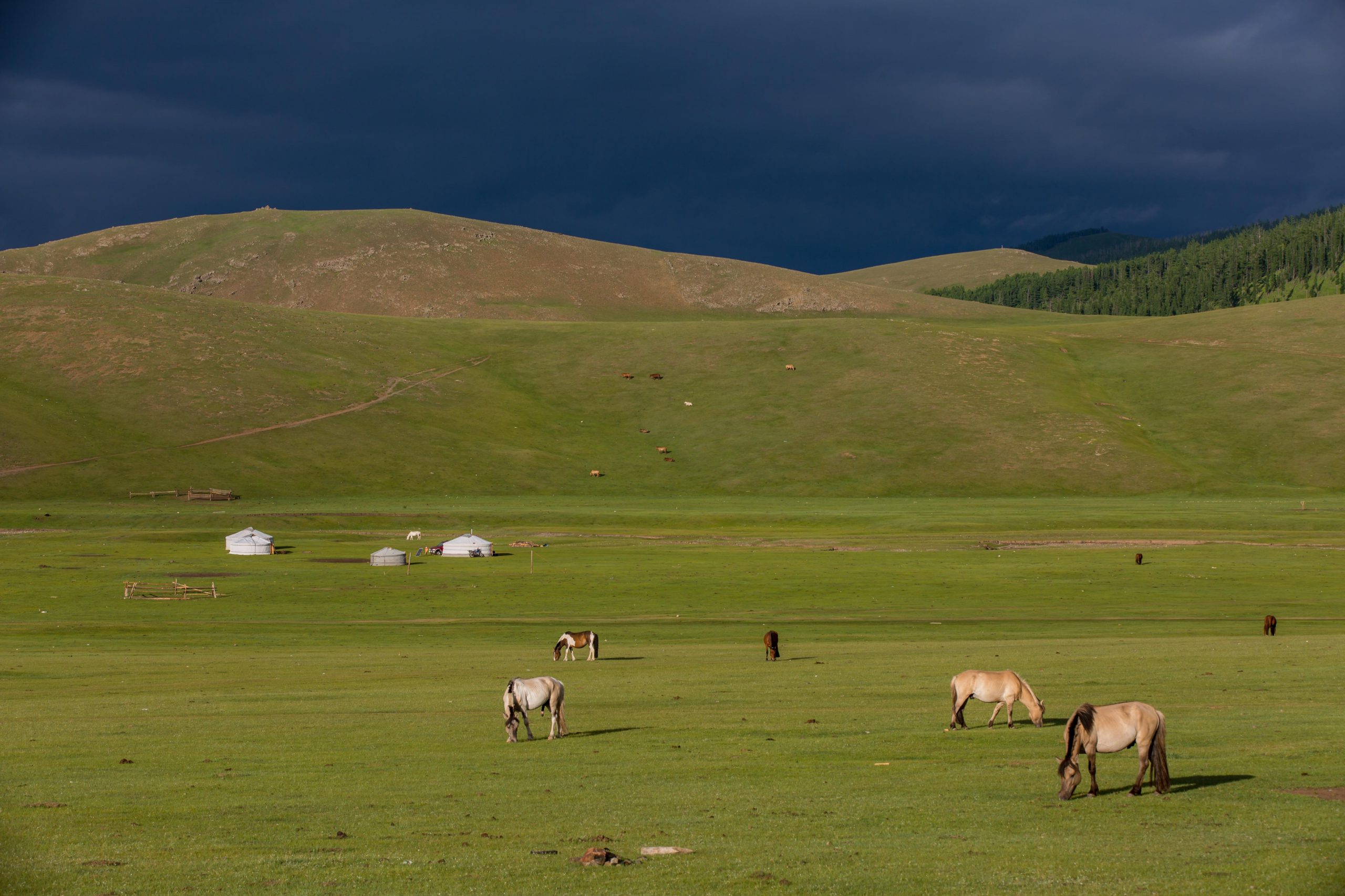 Orkhon Valley - Duniart - Photography and Blog by Toine IJsseldijk
