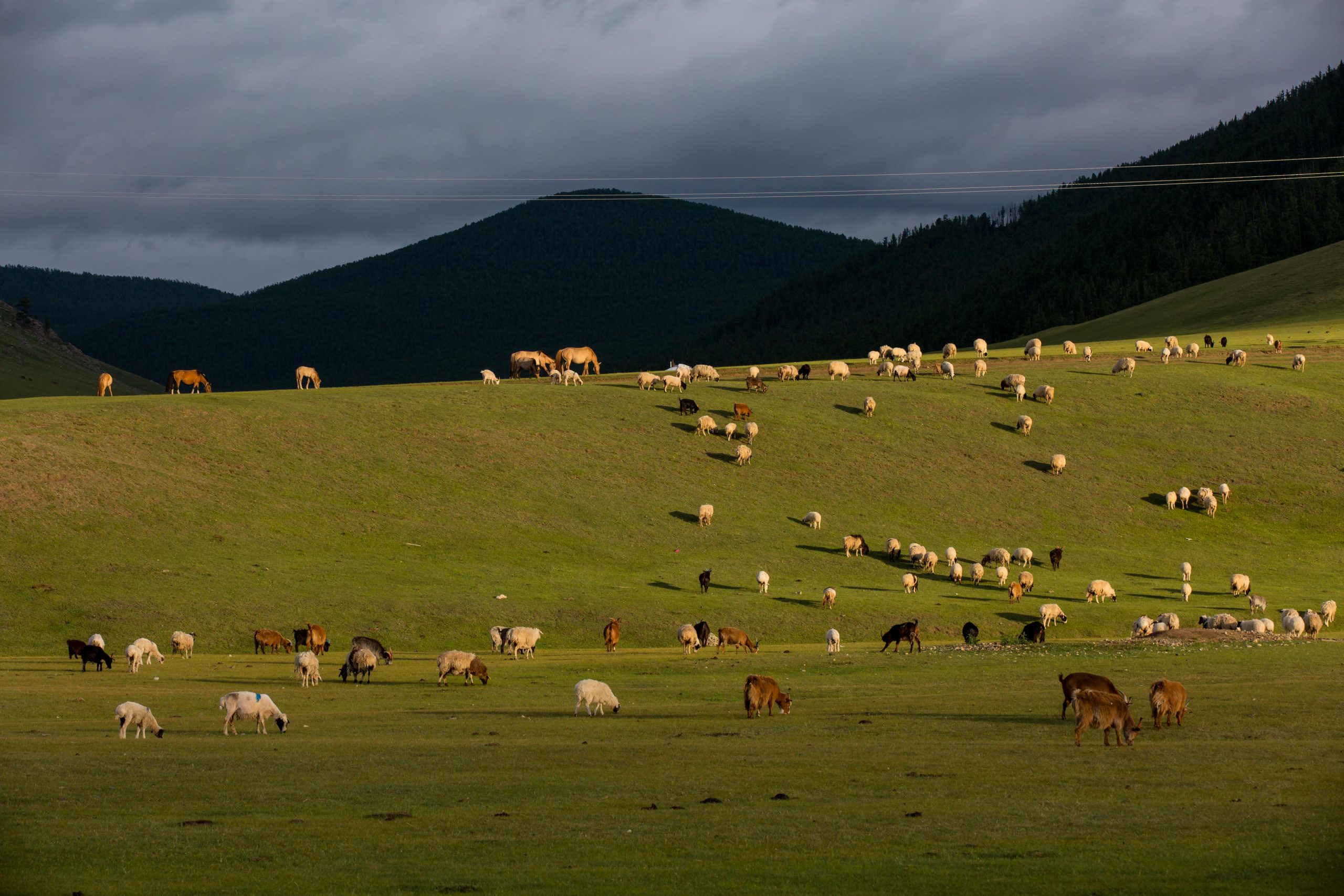 Orkhon Valley - Duniart - Photography and Blog by Toine IJsseldijk