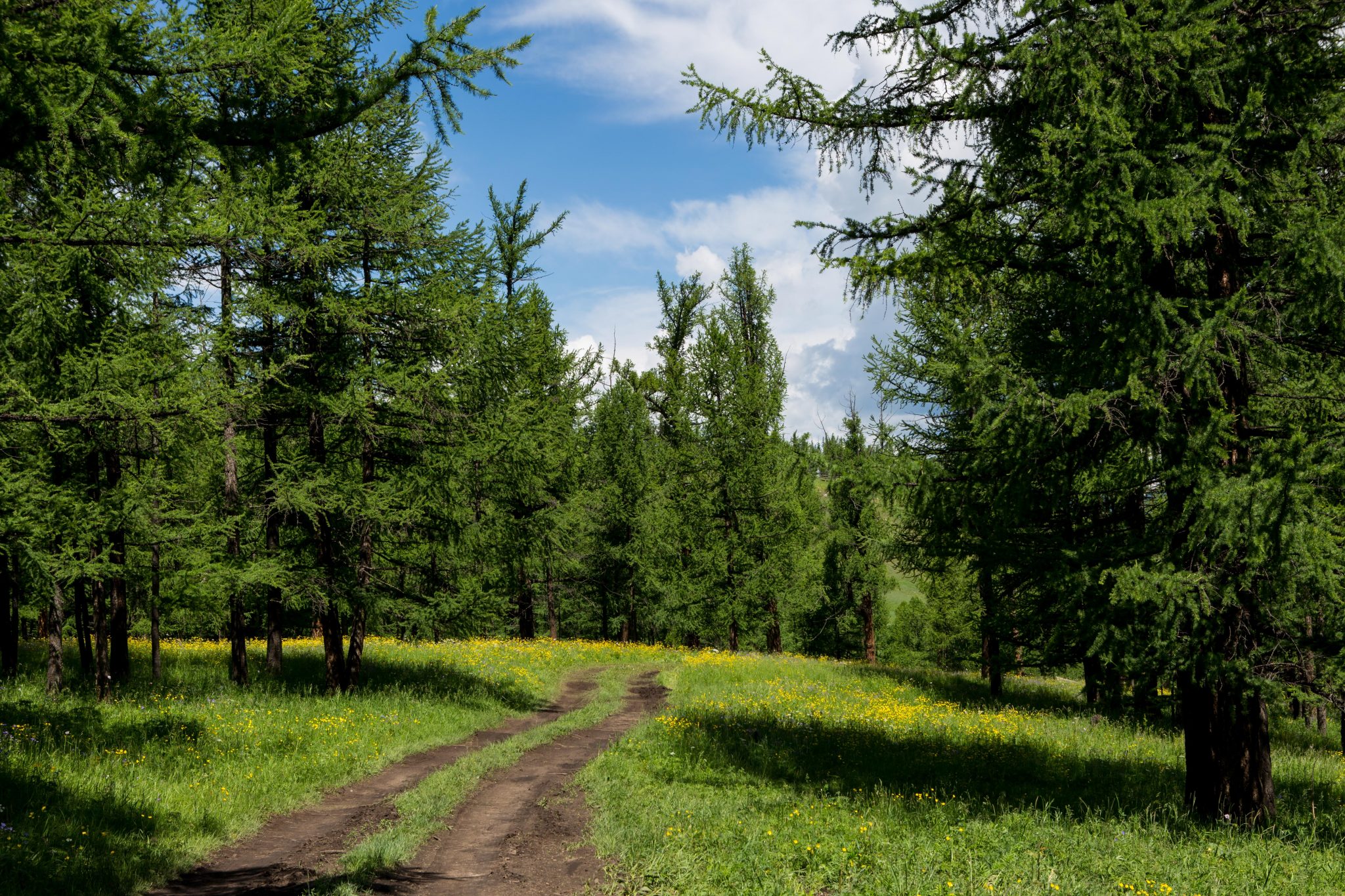 Tsenkher Hot Springs - Duniart - Photography and Blog by Toine IJsseldijk