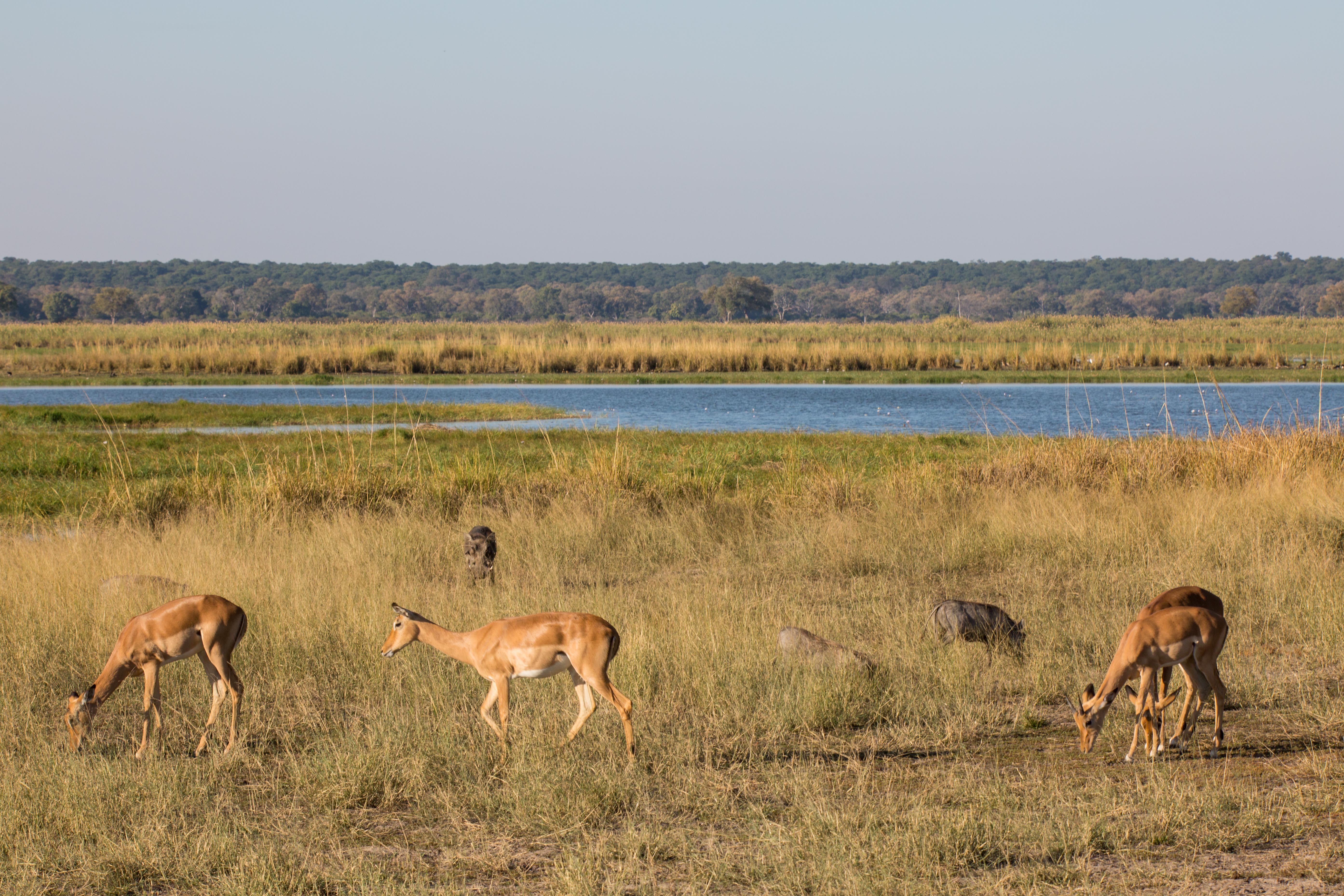 Best of Caprivi - Namibia - Duniart - Photography and Blog by Toine ...