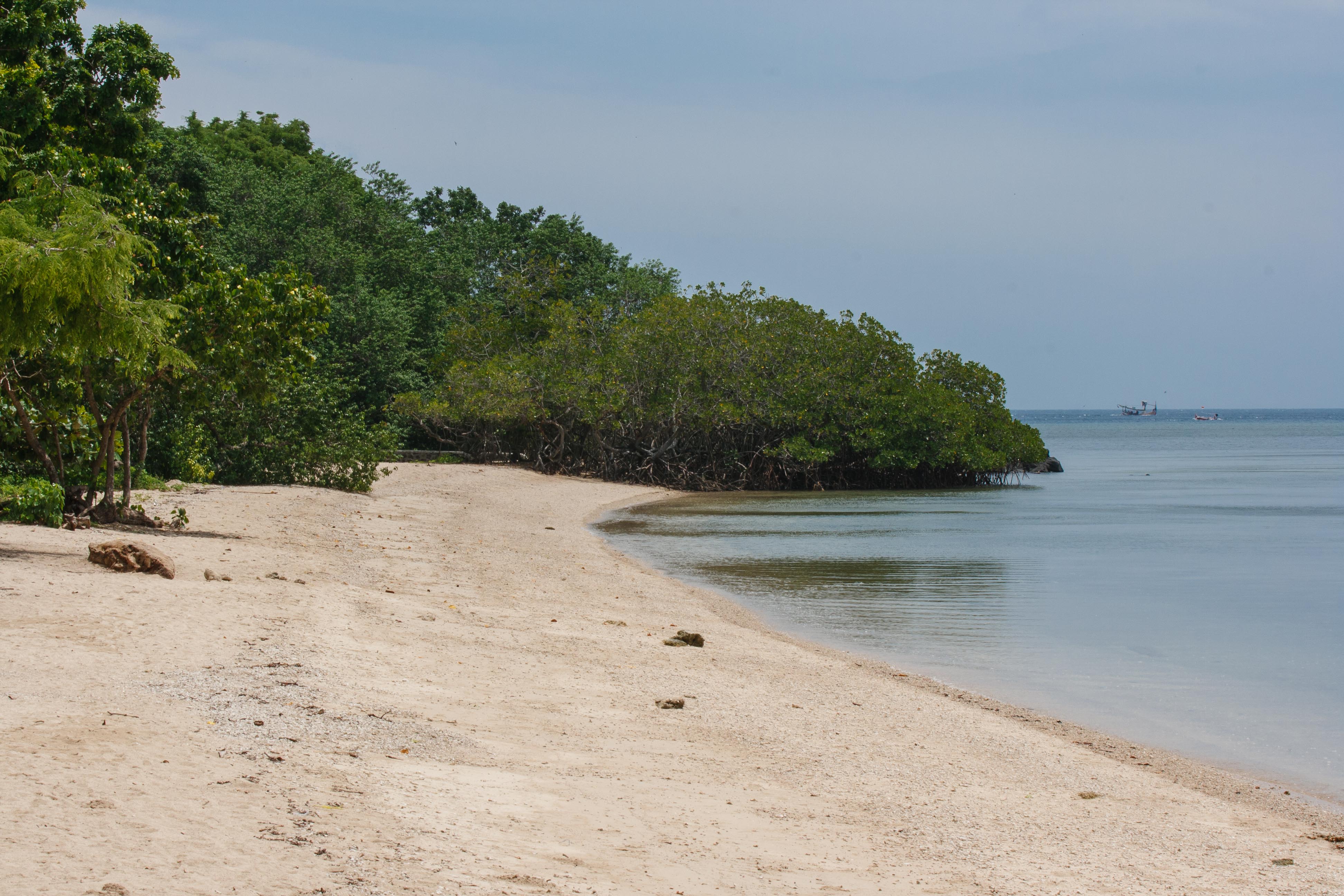 Baluran National Park - East Java - Duniart - Photography and Blog by ...