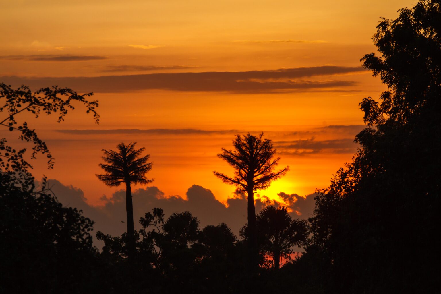 Baluran National Park - East Java - Duniart - Photography and Blog by ...