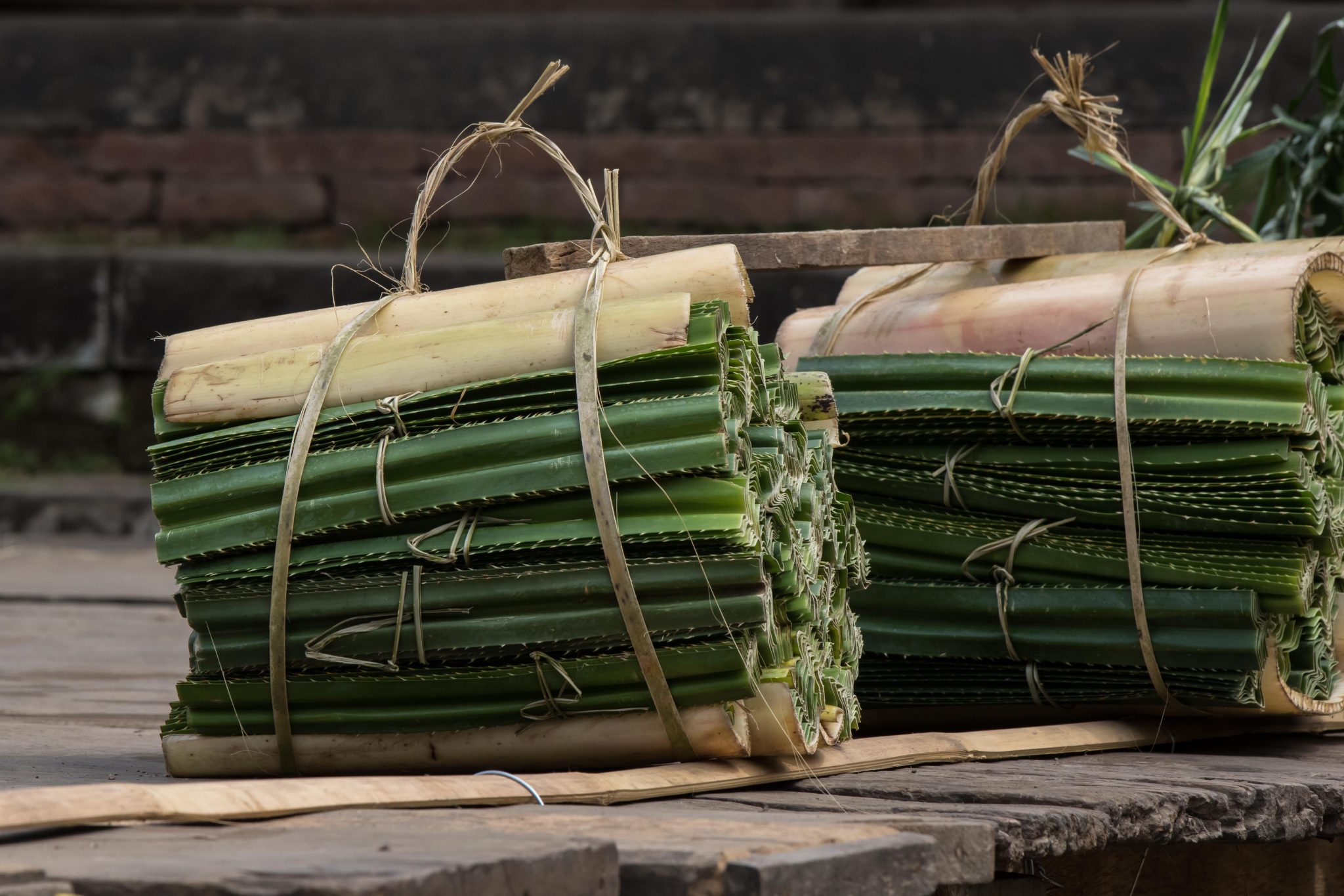 Mekare-kare - Tenganan, Bali - Duniart - Photography and Blog by Toine ...