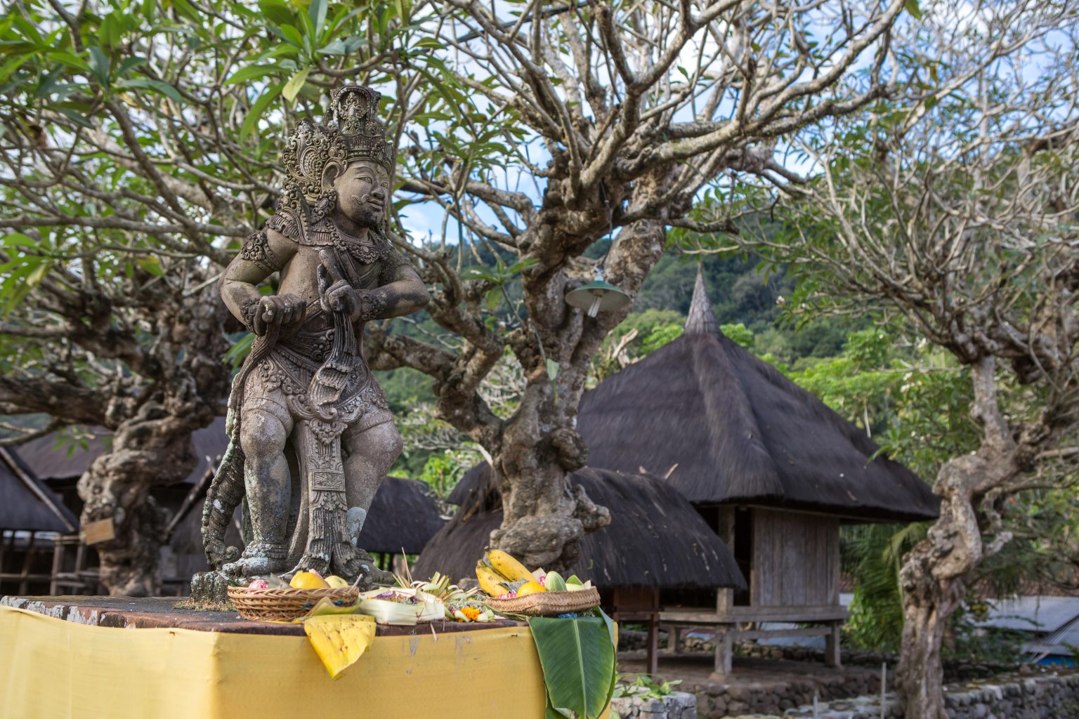 Mekare-kare - Tenganan, Bali - Duniart - Photography and Blog by Toine ...