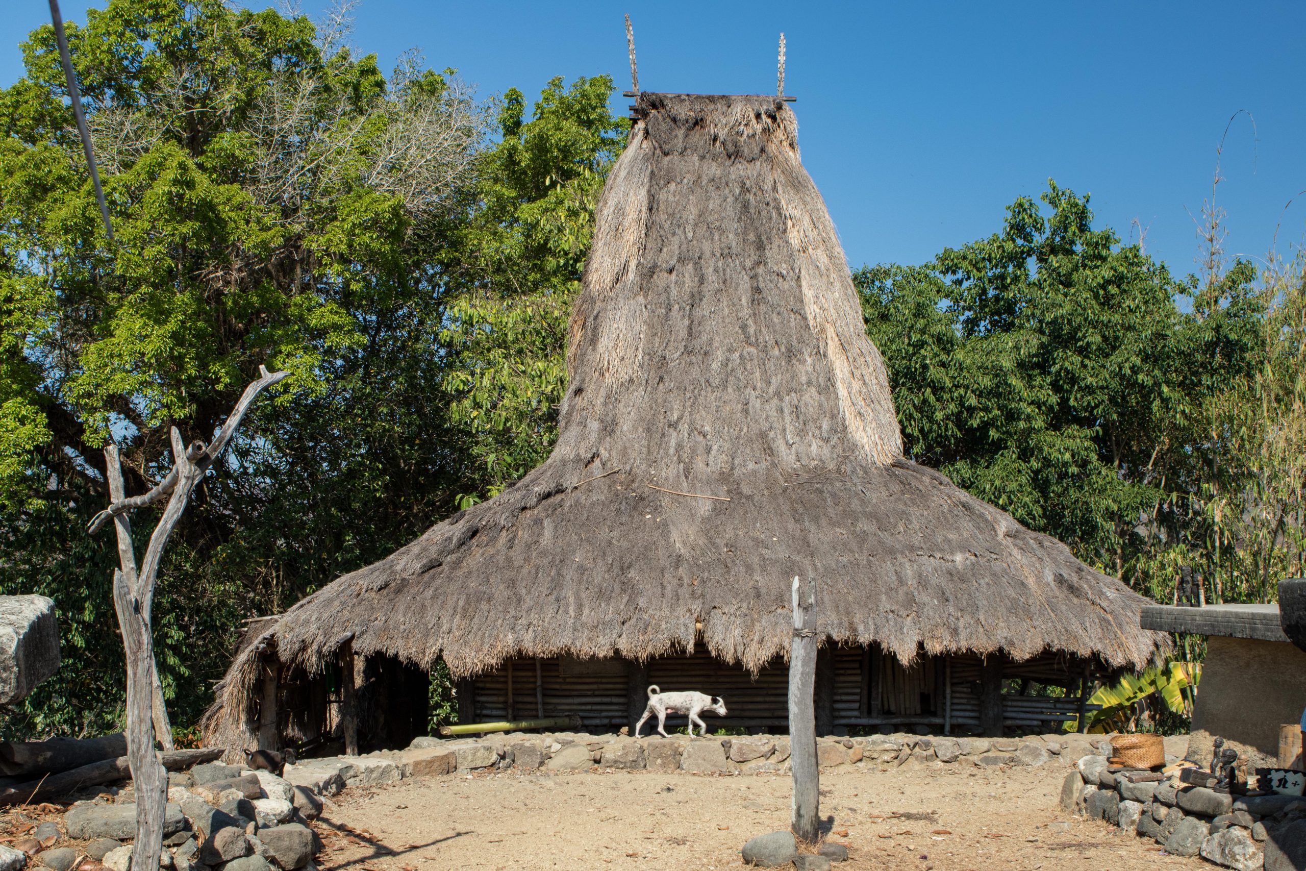 Sumba - Duniart - Photography and Blog by Toine IJsseldijk