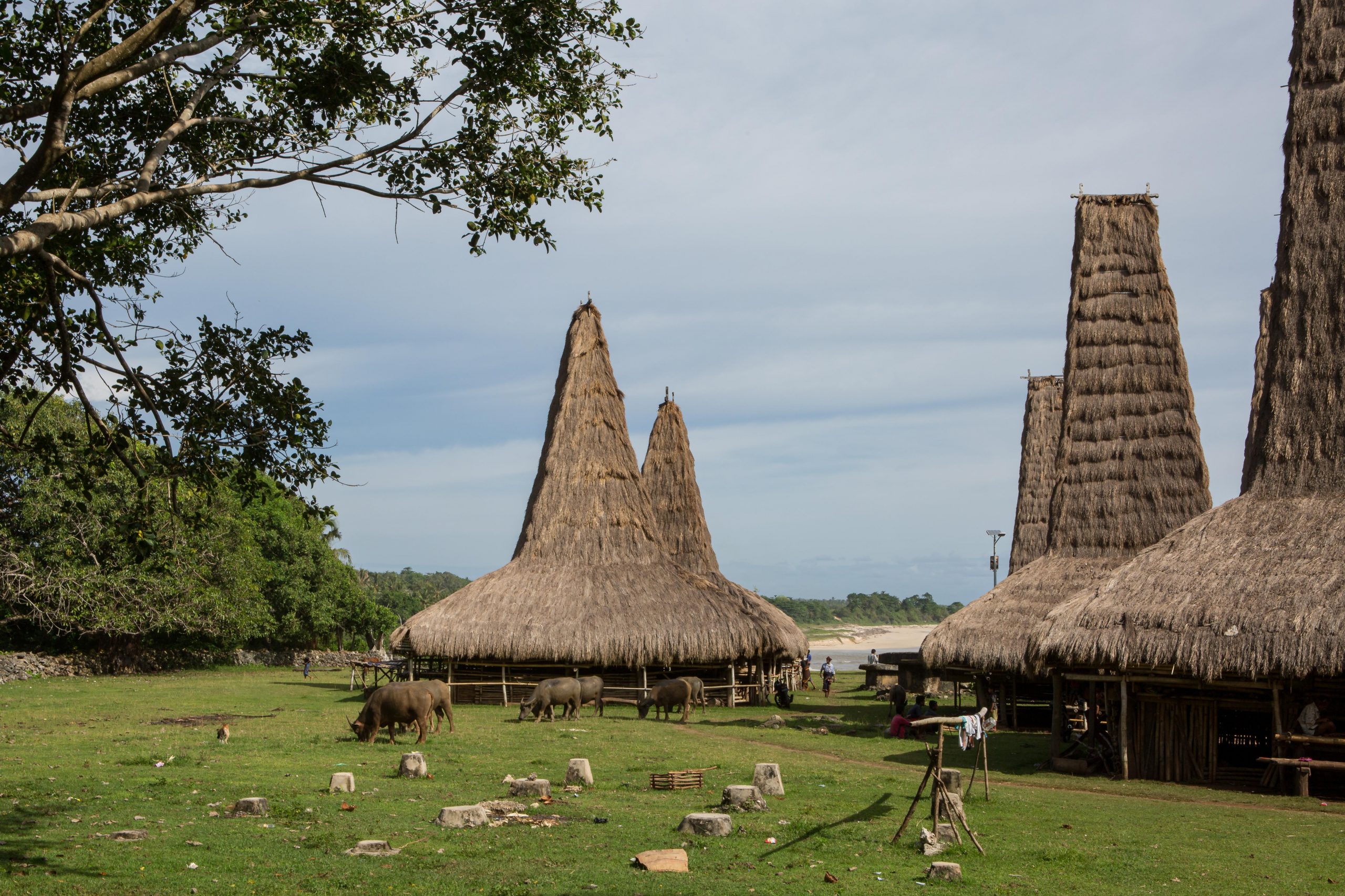 Wainyapu - West Sumba - Duniart - Photography and Blog by Toine IJsseldijk