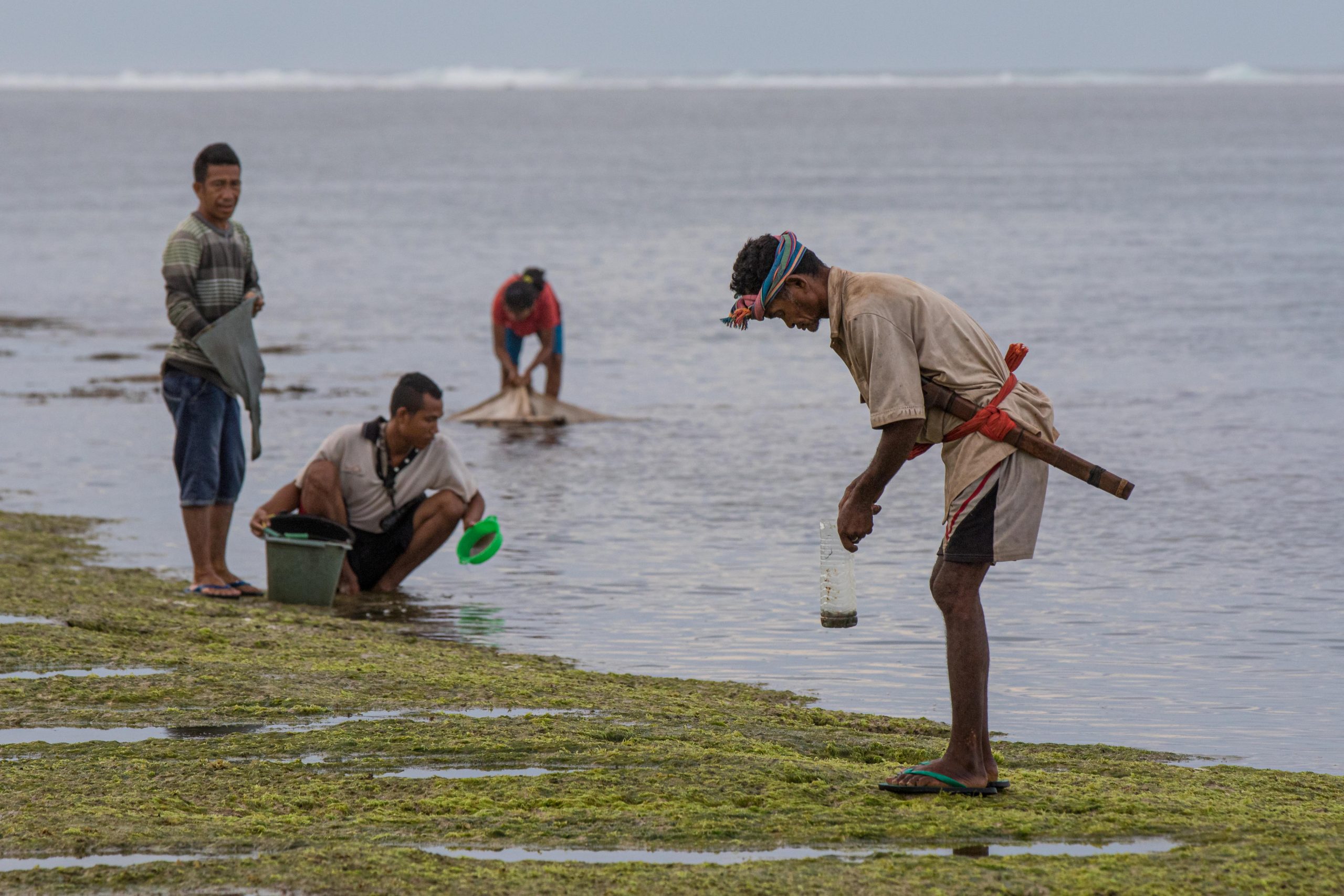 Nyale Ritual - Wainyapu, West Sumba - Duniart - Photography and Blog by ...