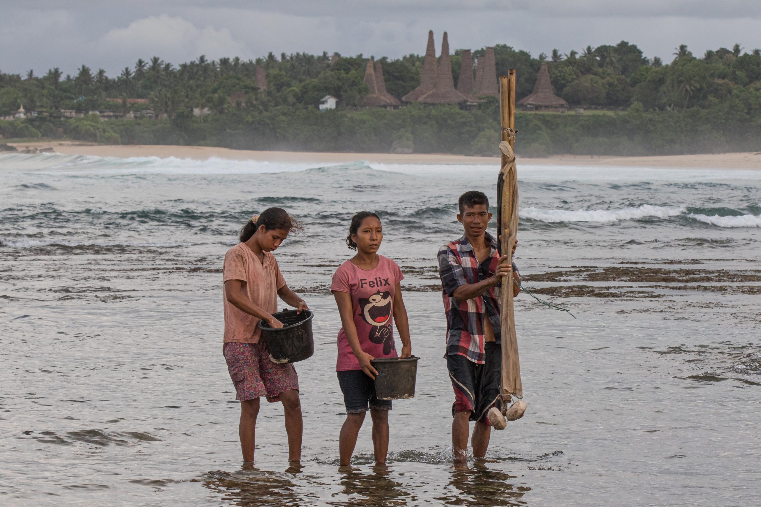 Nyale Ritual - Wainyapu, West Sumba - Duniart - Photography and Blog by ...