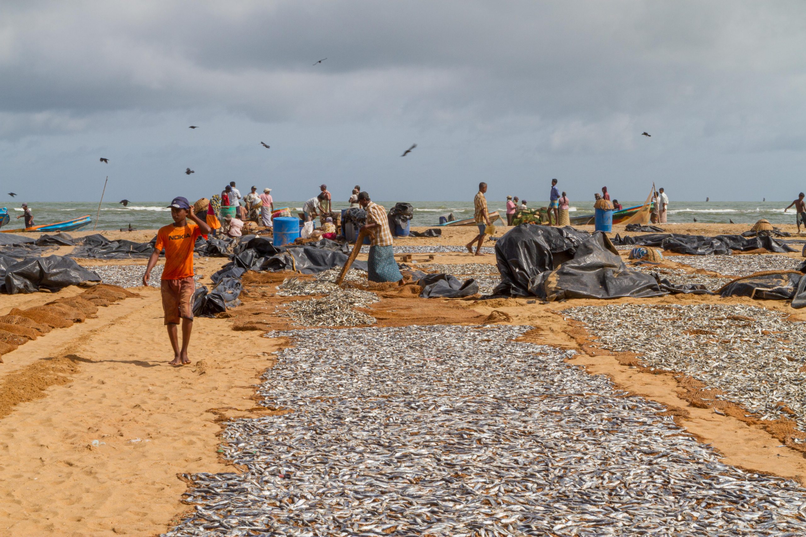 Negombo - Sri Lanka - Duniart - Photography and Blog by Toine IJsseldijk
