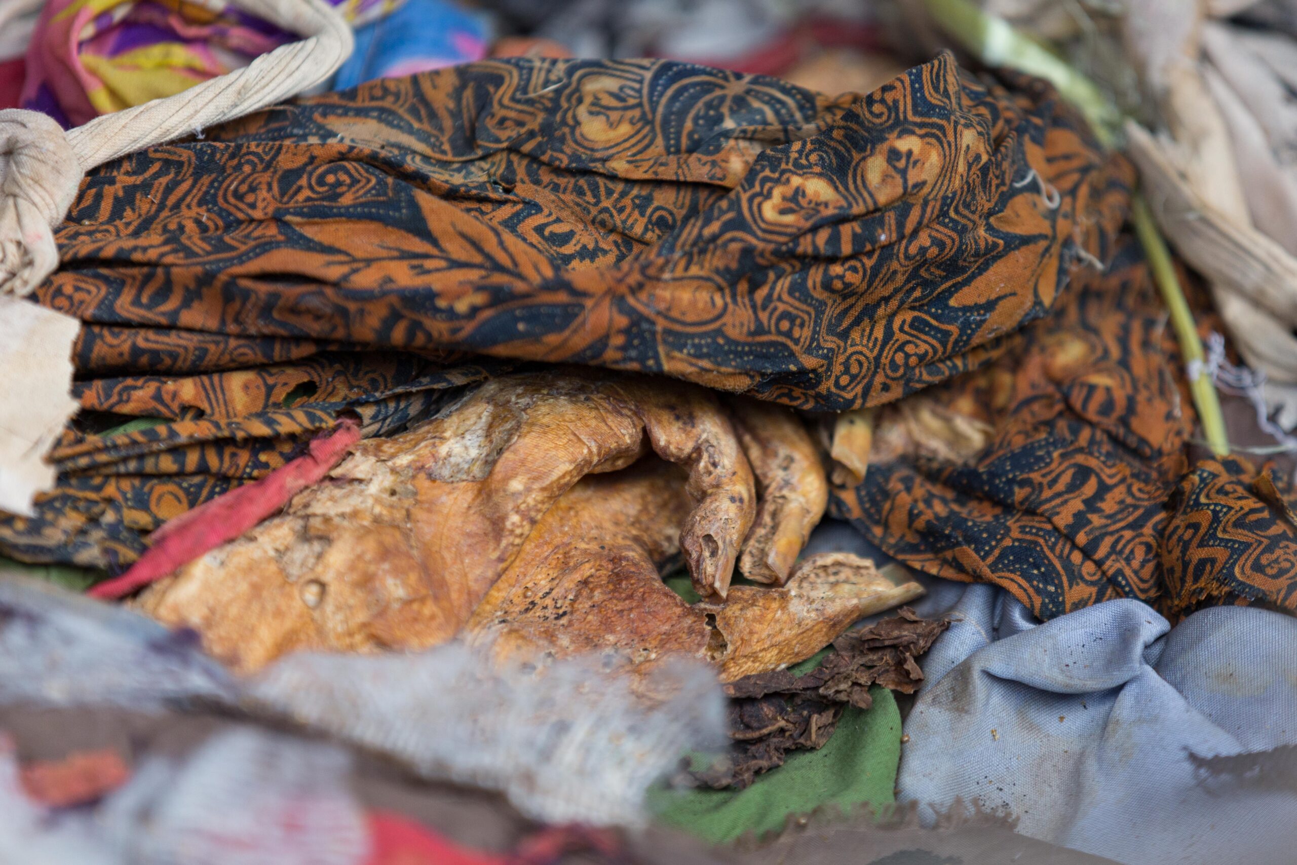 Ma'nene' Ritual - Tana Toraja, Sulawesi - Duniart - Photography and ...